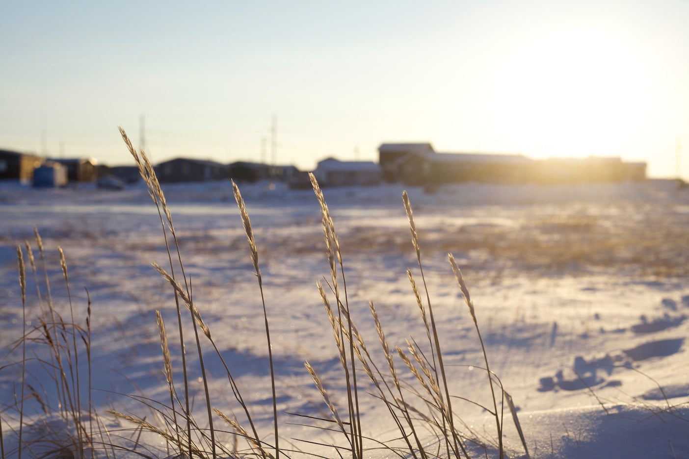 Hinaani By Nooks Lindell